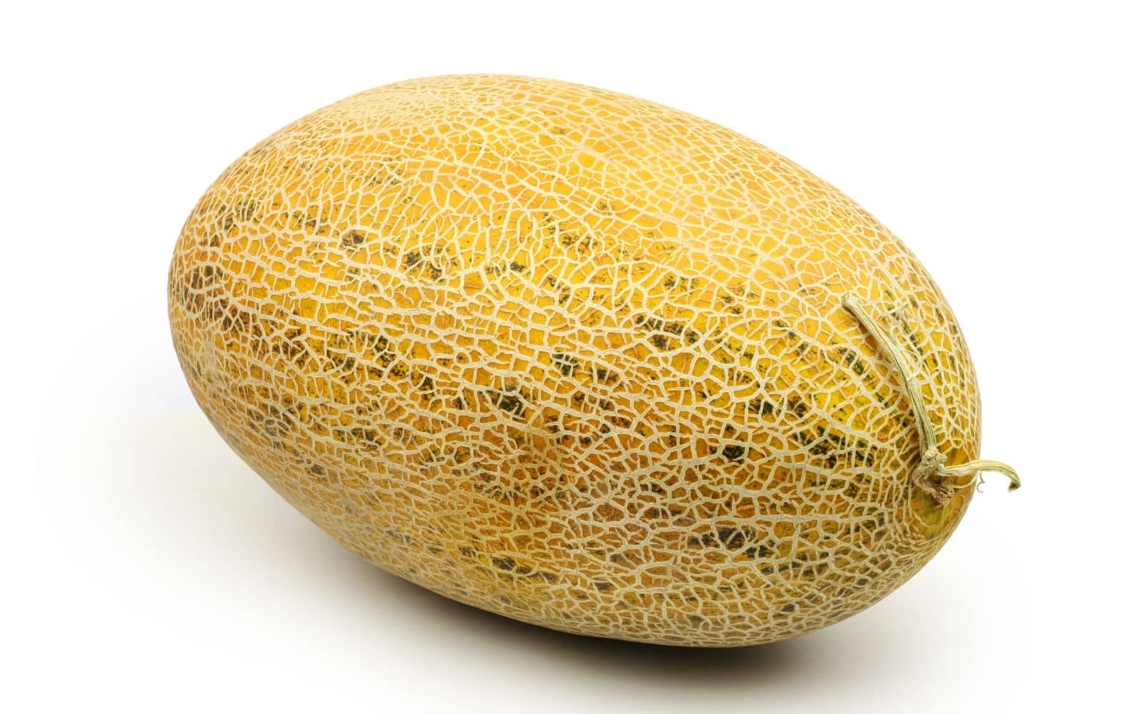 27 Types Of Melons You Should Grow (With Pictures) | GearTrench
