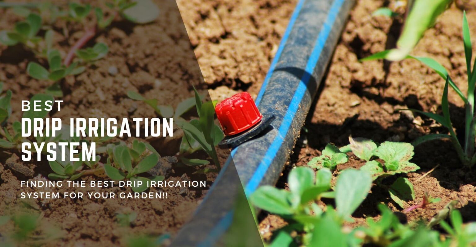 7 Best Drip Irrigation System (Review And Buying Guide) | GearTrench