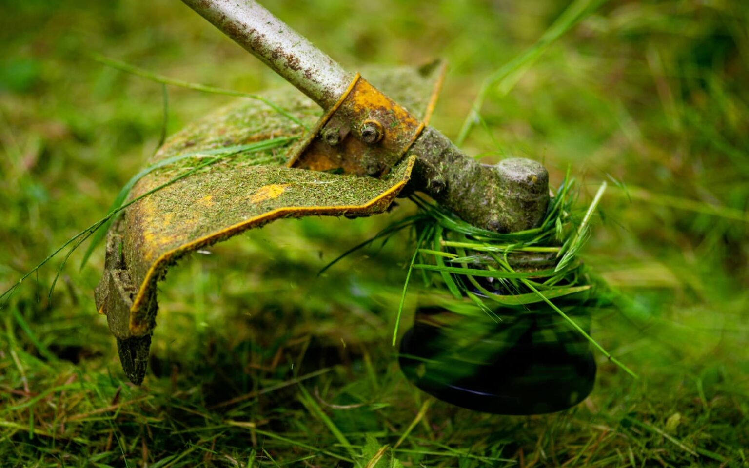 9 Best Brush Cutter In 2025 (Updated Review) | GearTrench